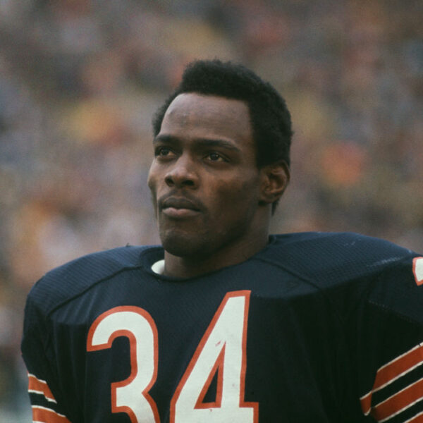 Dr. Roto - DrRoto.com