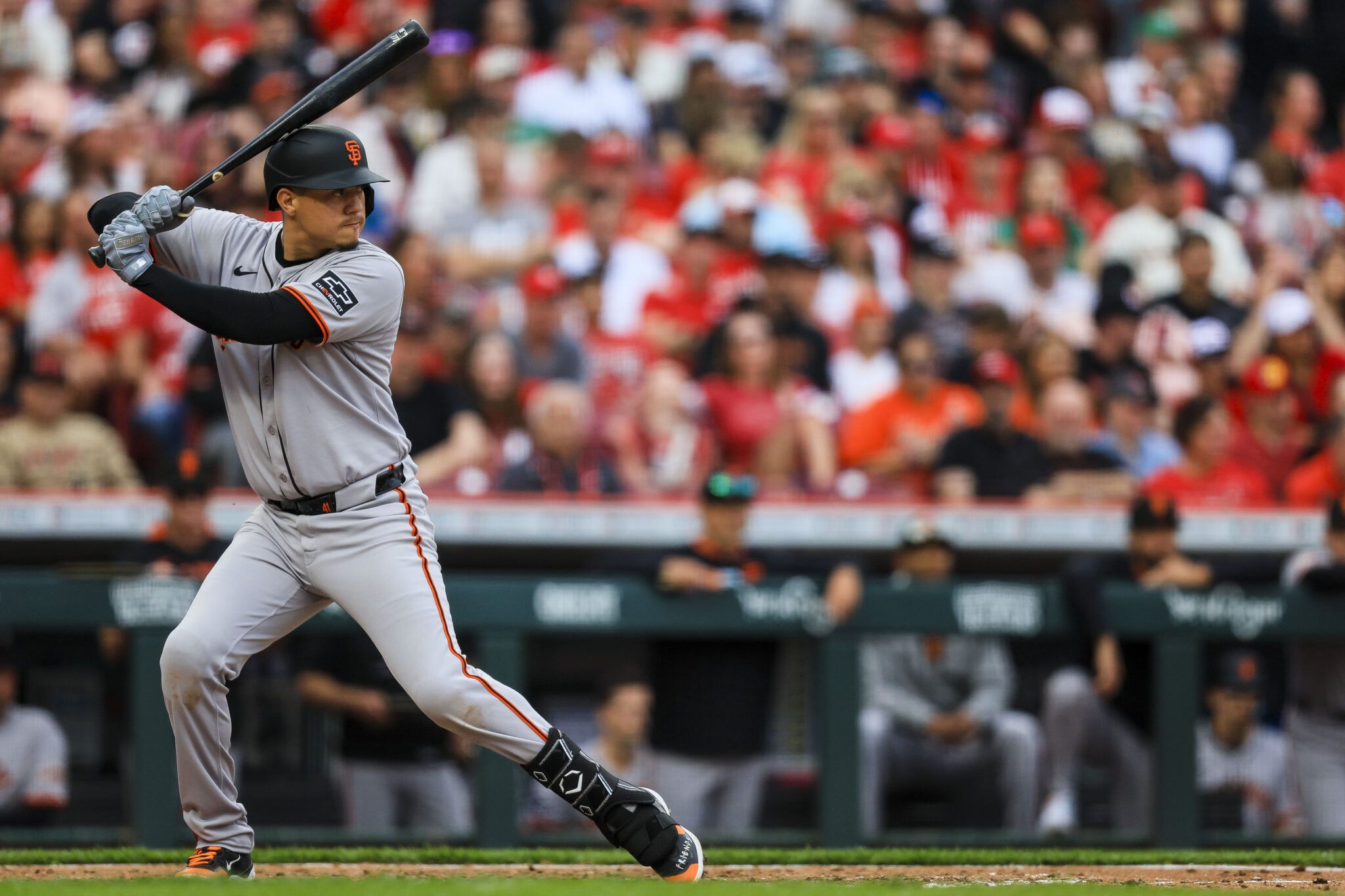 MLB League Leaders: National League Home Runs - DrRoto.com