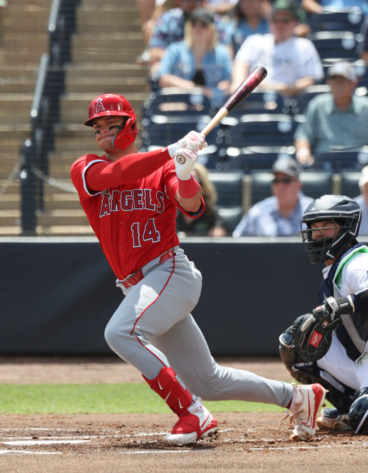 MLB League Leaders: American League Home Runs - DrRoto.com