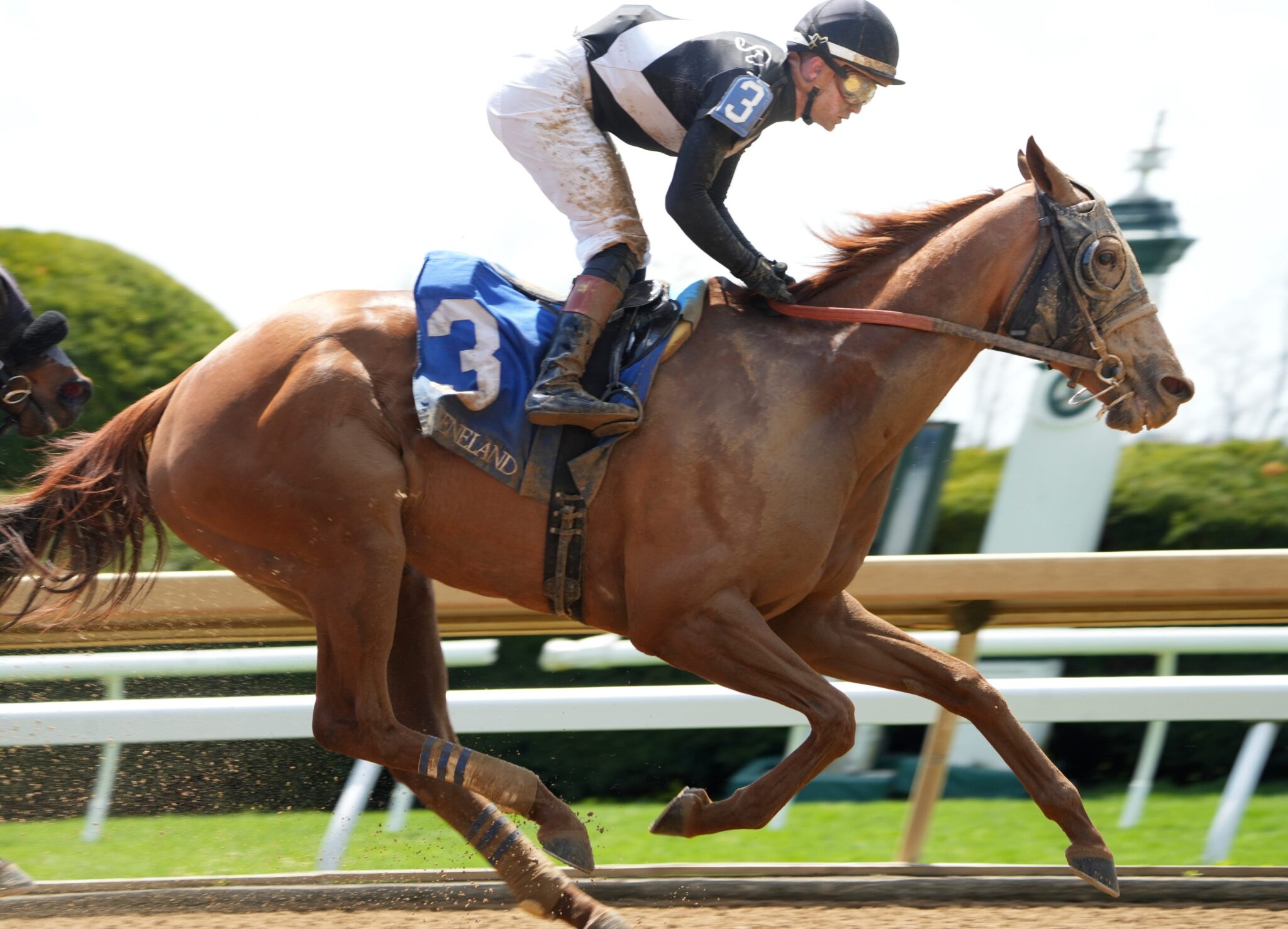 151st Kentucky Derby: Field and Post Positions - DrRoto.com