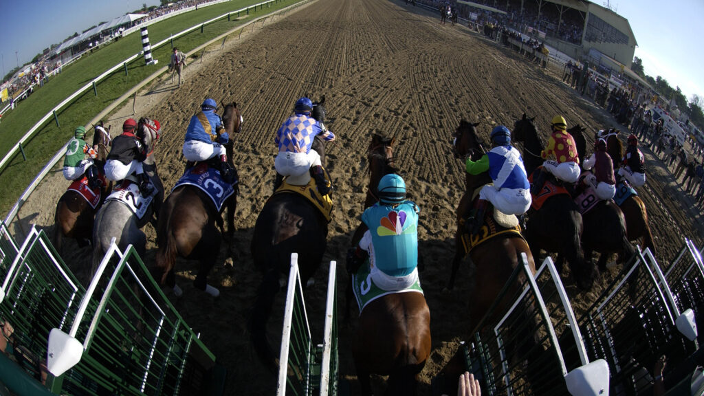 150th Preakness Stakes: Field and Post Positions - DrRoto.com