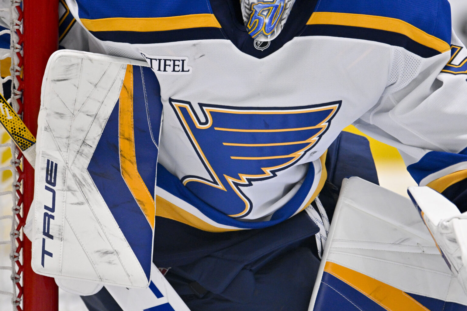 NHL: Top 20 Hockey Announcers In History - DrRoto.com