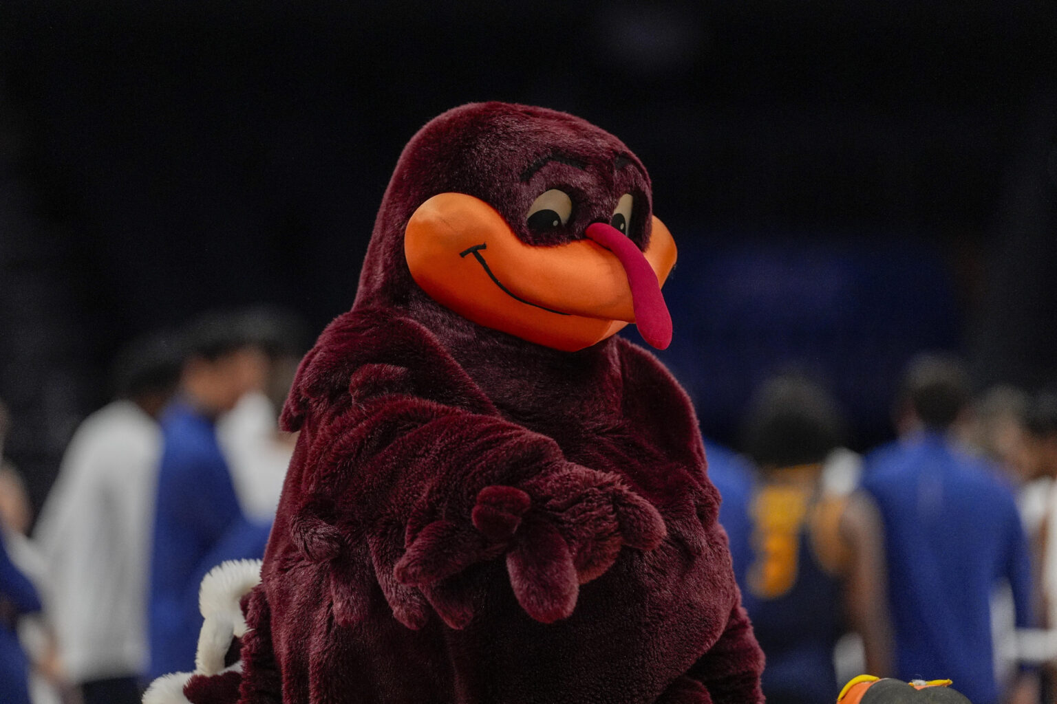 NCAA College Football: Top 30 Mascots - DrRoto.com