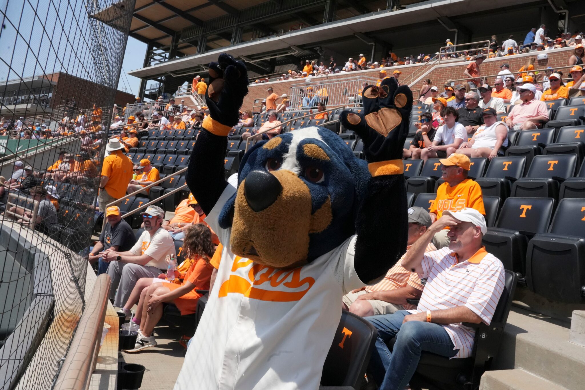 NCAA College Football: Top 30 Mascots - DrRoto.com